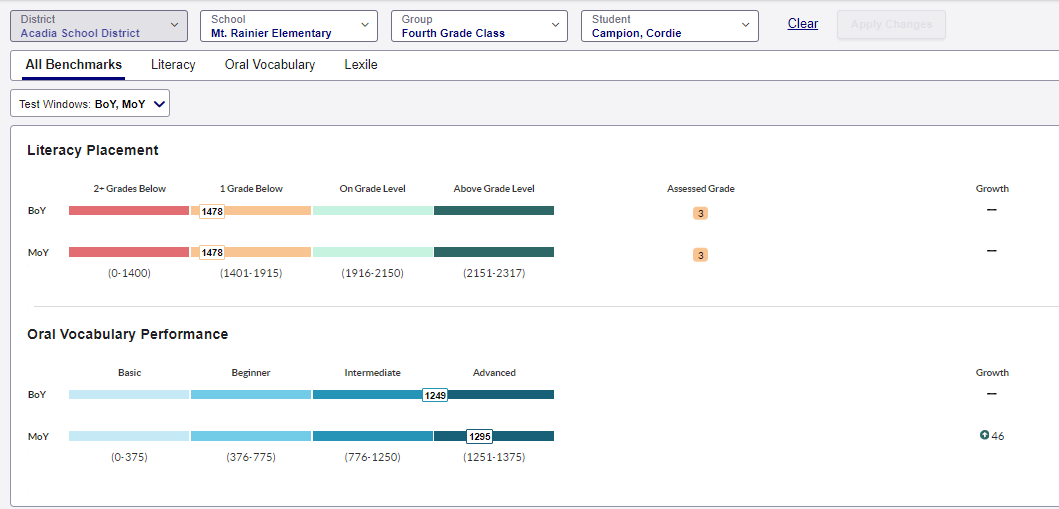 Understanding Placement and Benchmark tests in Imagine Language ...